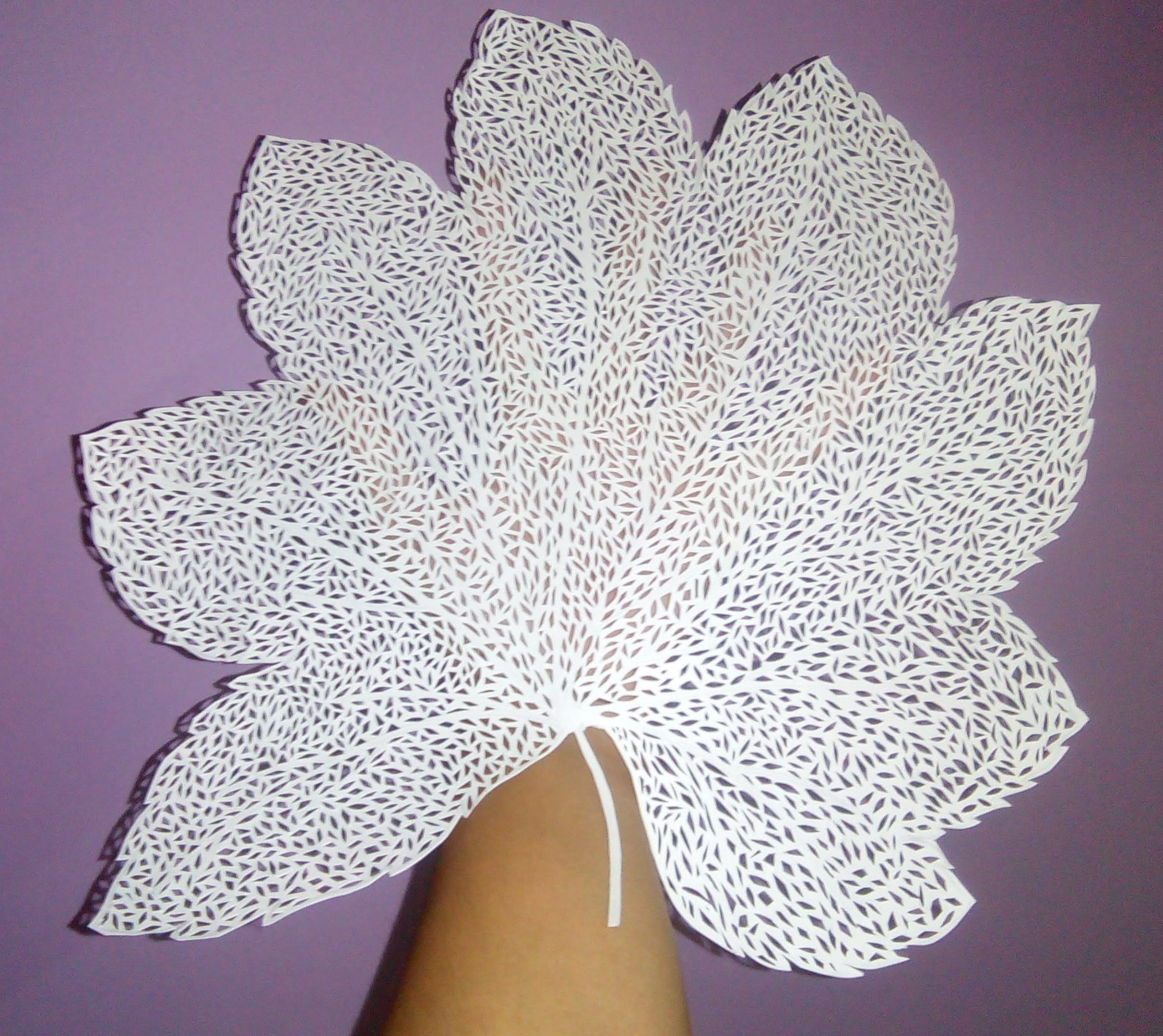 Namratha's Portfolio